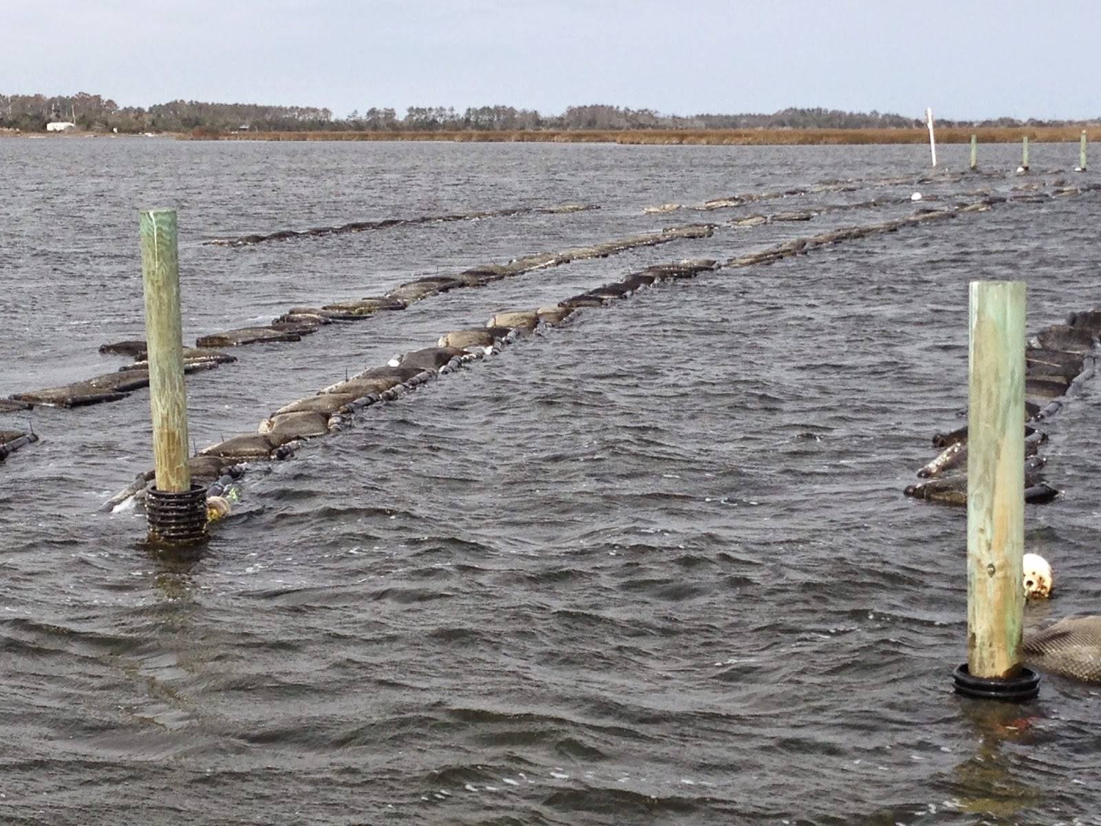 Sustainability Resources - North Carolina Shellfish Growers Association